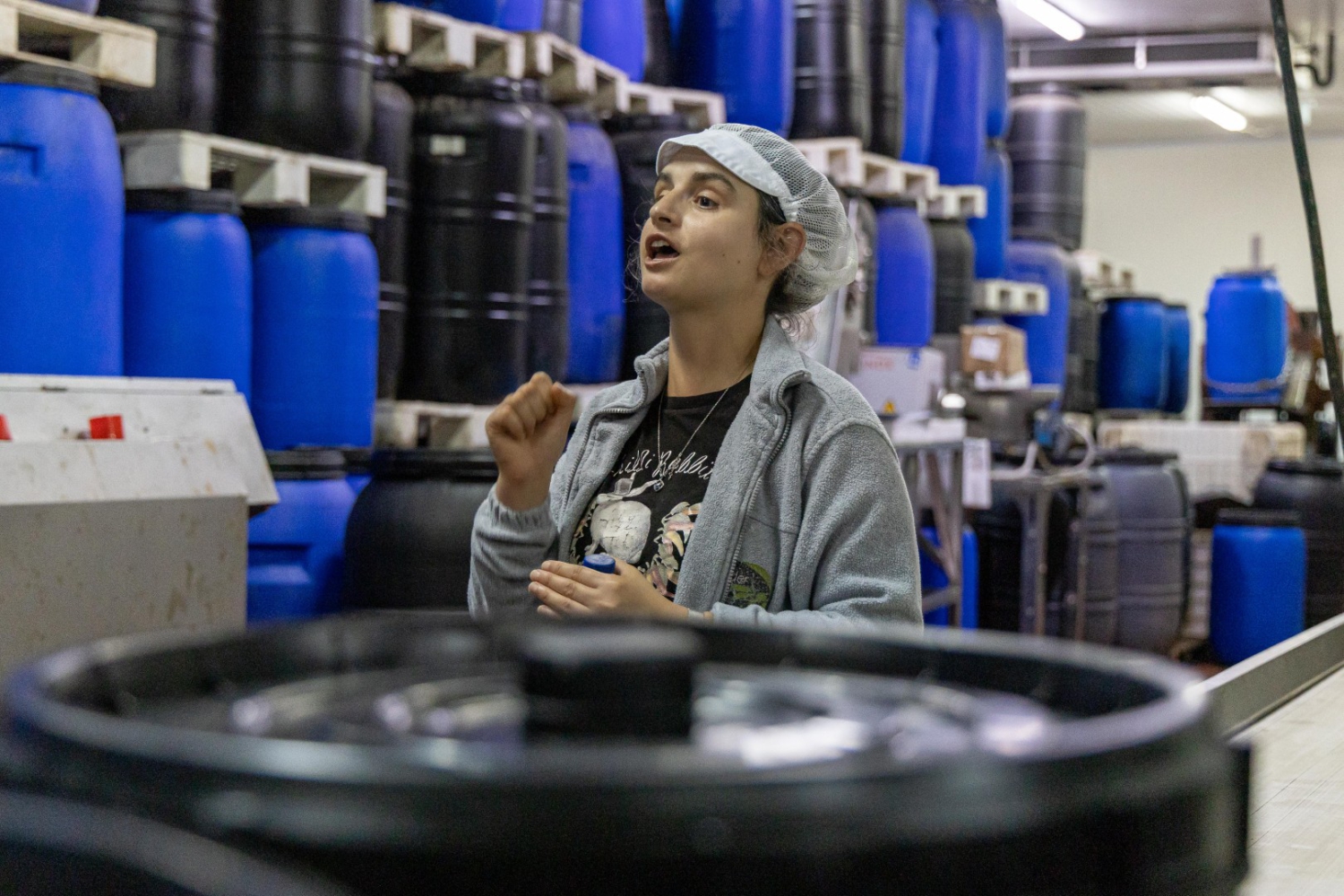 Olive Factory Tour & Tasting in Algarve