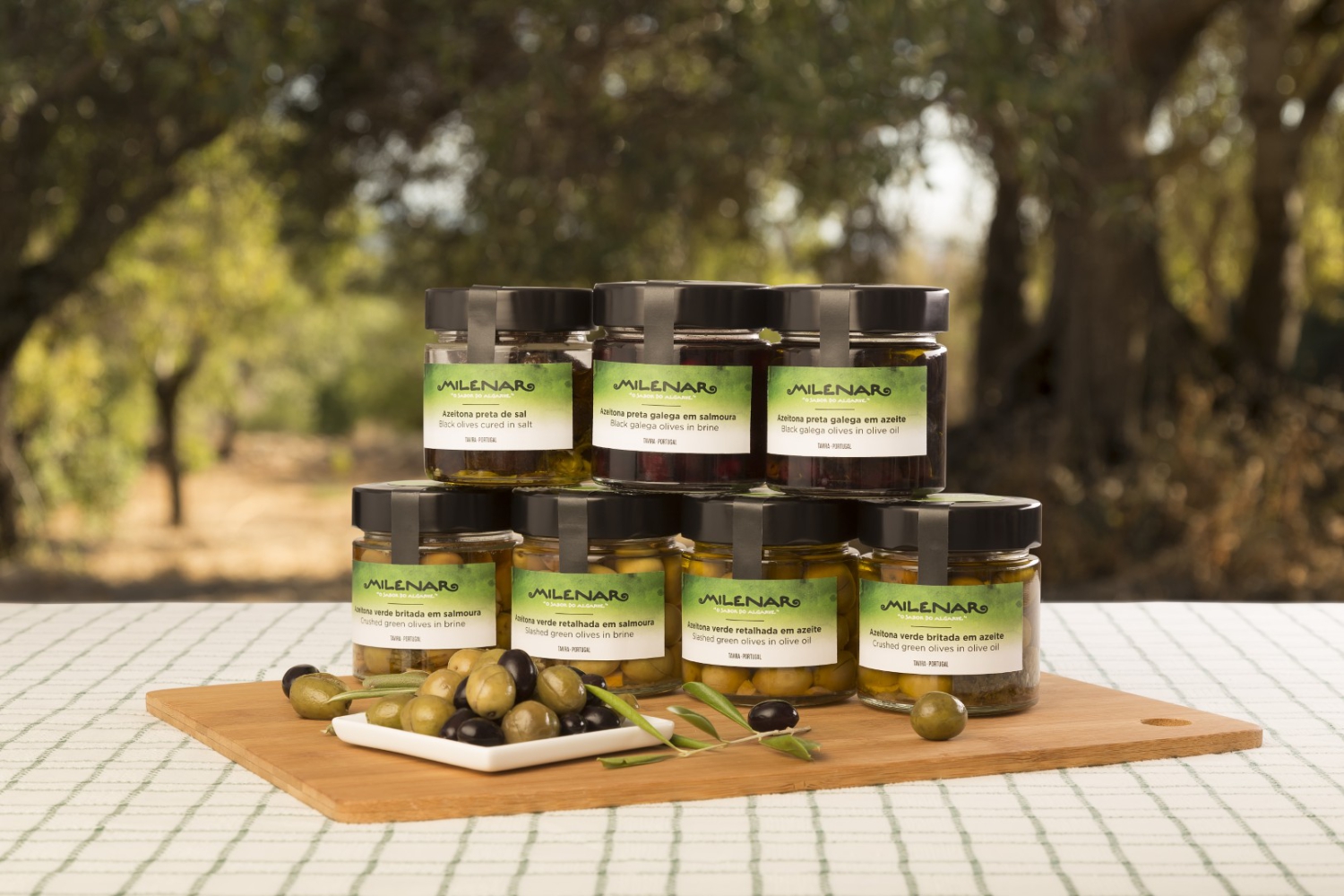 Olive Factory Tour & Tasting in Algarve