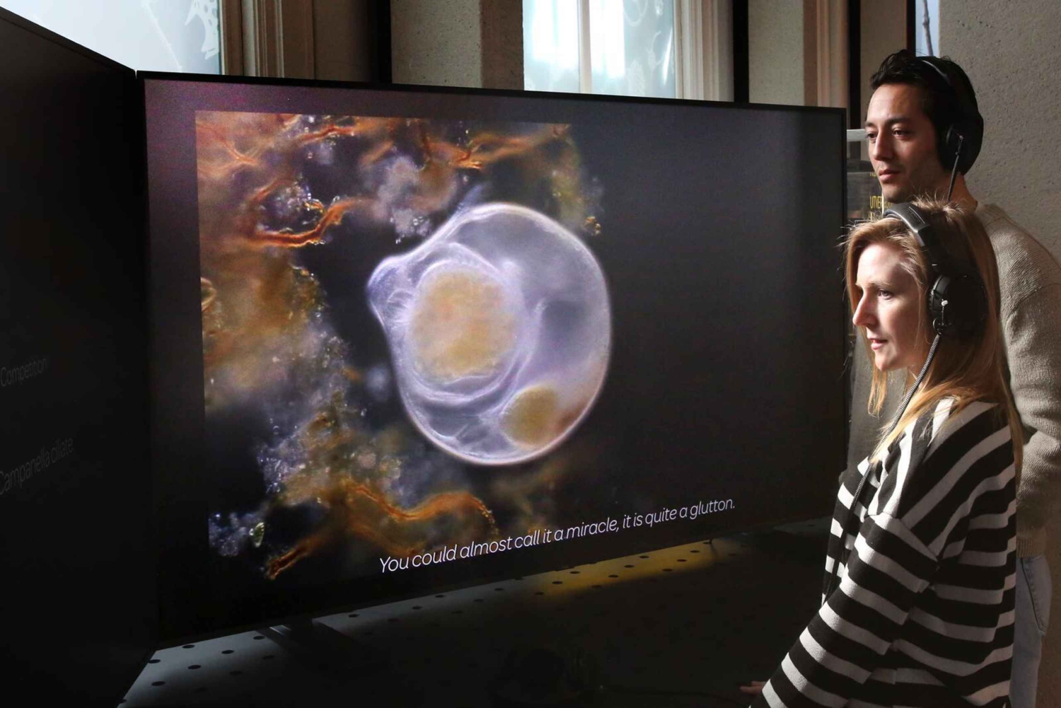 Amsterdam: ARTIS-Micropia Microbe Museum Ticket de entrada in Amsterdam