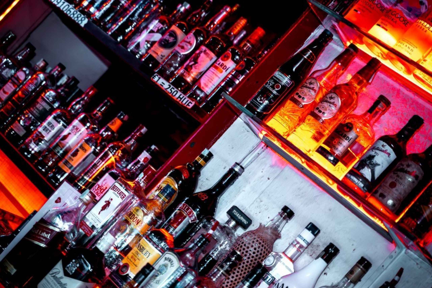 Amsterdam: Private Pub Crawl with VIP Club Entry and Shots in Amsterdam