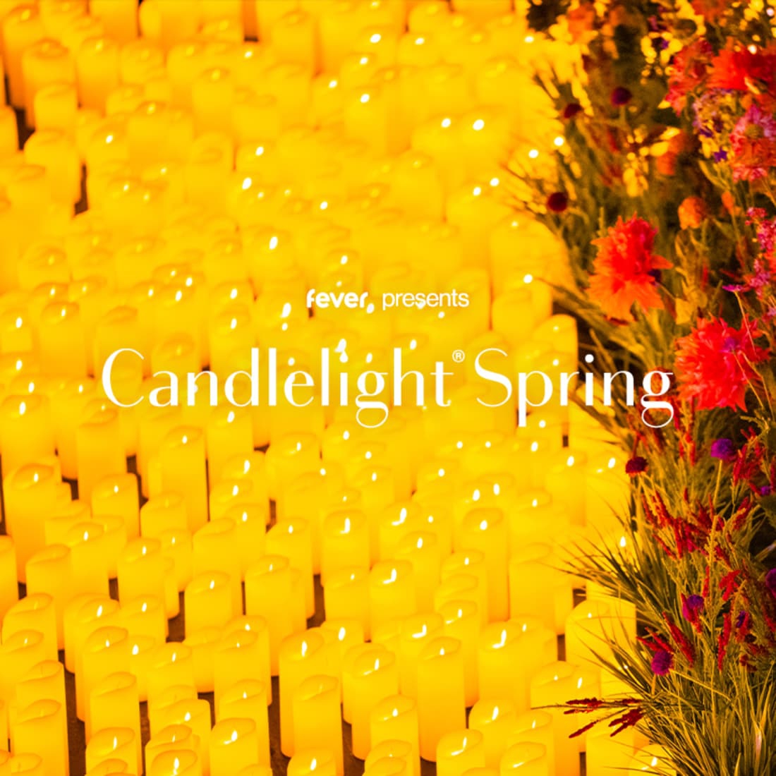 Candlelight Spring: Coldplay & Imagine Dragons