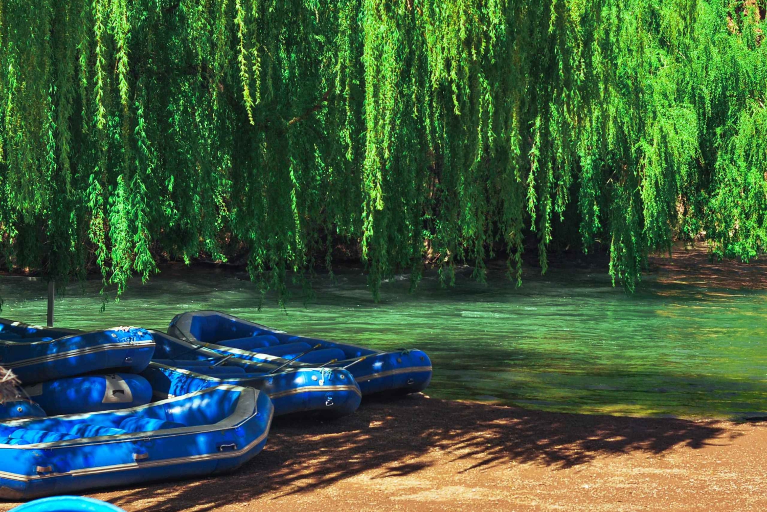 Mendoza: Atuel Canyon Tour in Argentina