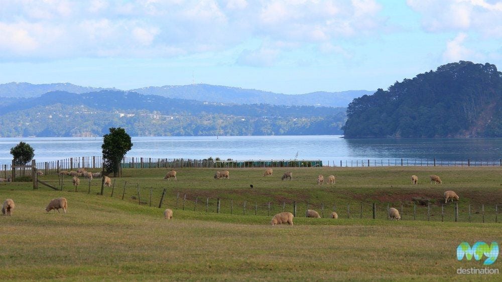 Ambury Regional Park in Auckland | My Guide Auckland