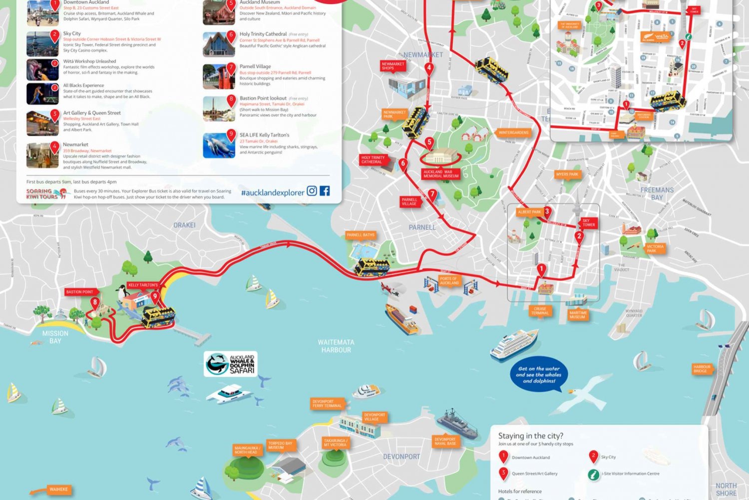Auckland: Hop-On Hop-Off Explorer Bus Ticket in Auckland Auckland: Hop-On Hop-Off Explorer Bus Ticket in Auckland