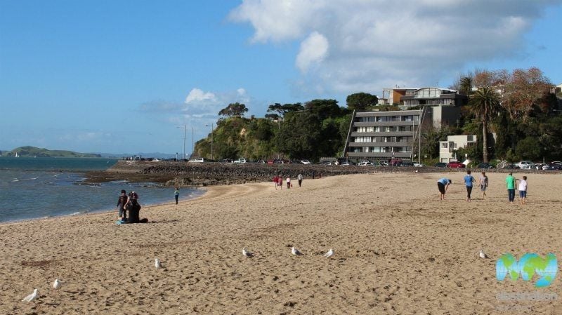 Mission Bay Beach in Auckland | My Guide Auckland