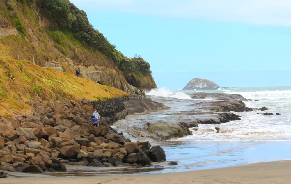 Muriwai Regional Park in Auckland | My Guide Auckland