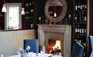 Auckland Travel Guide