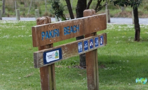 Pakiri Beach in Auckland | My Guide Auckland