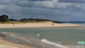 Pakiri Beach in Auckland | My Guide Auckland