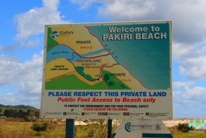 Pakiri Beach in Auckland | My Guide Auckland