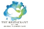 The Restaurant at Animal Flower Cave in Barbados | My Guide Barbados