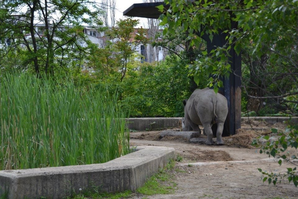 Sofia Zoo in Bulgaria | My Guide Bulgaria