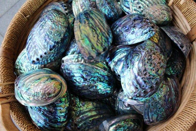 Photos of Christchurch | My Guide Christchurch