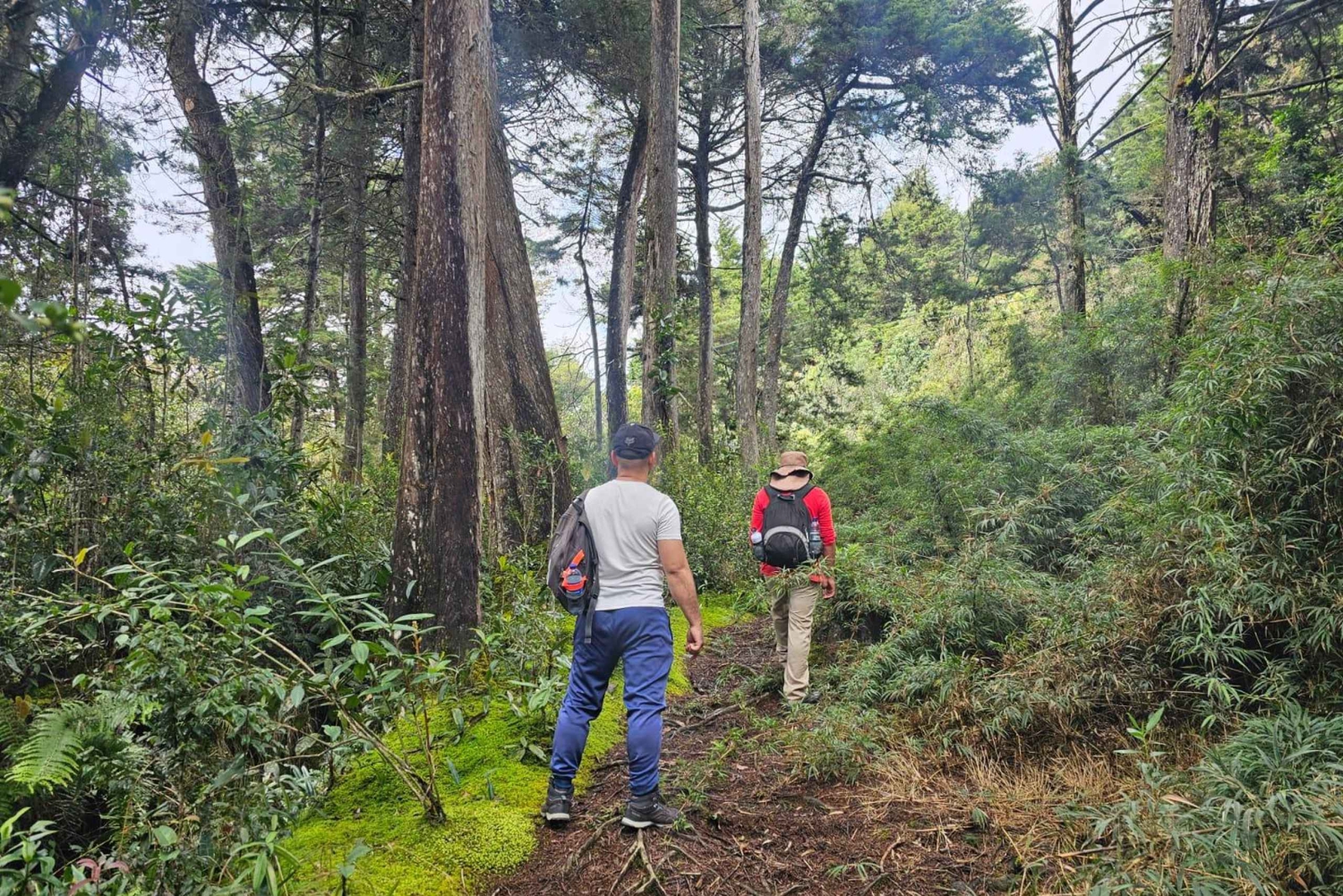 Hike to the Arví park, lagoon, viewpoint and metro cable. in Colombia
