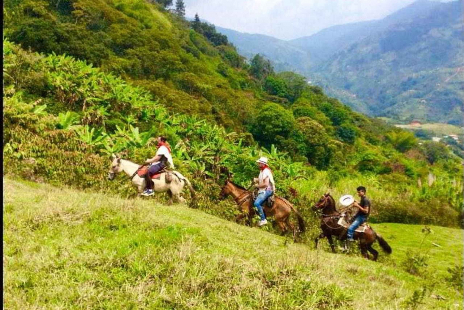 Medellín: Authentic Colombian Horseback Ride in Colombia