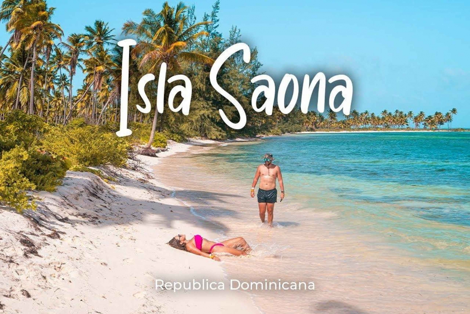 Punta Cana: Excursión de un día a la Isla Saona con entradas y almuerzo ...