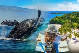 Top activities to do in Samana, Dominican Republic