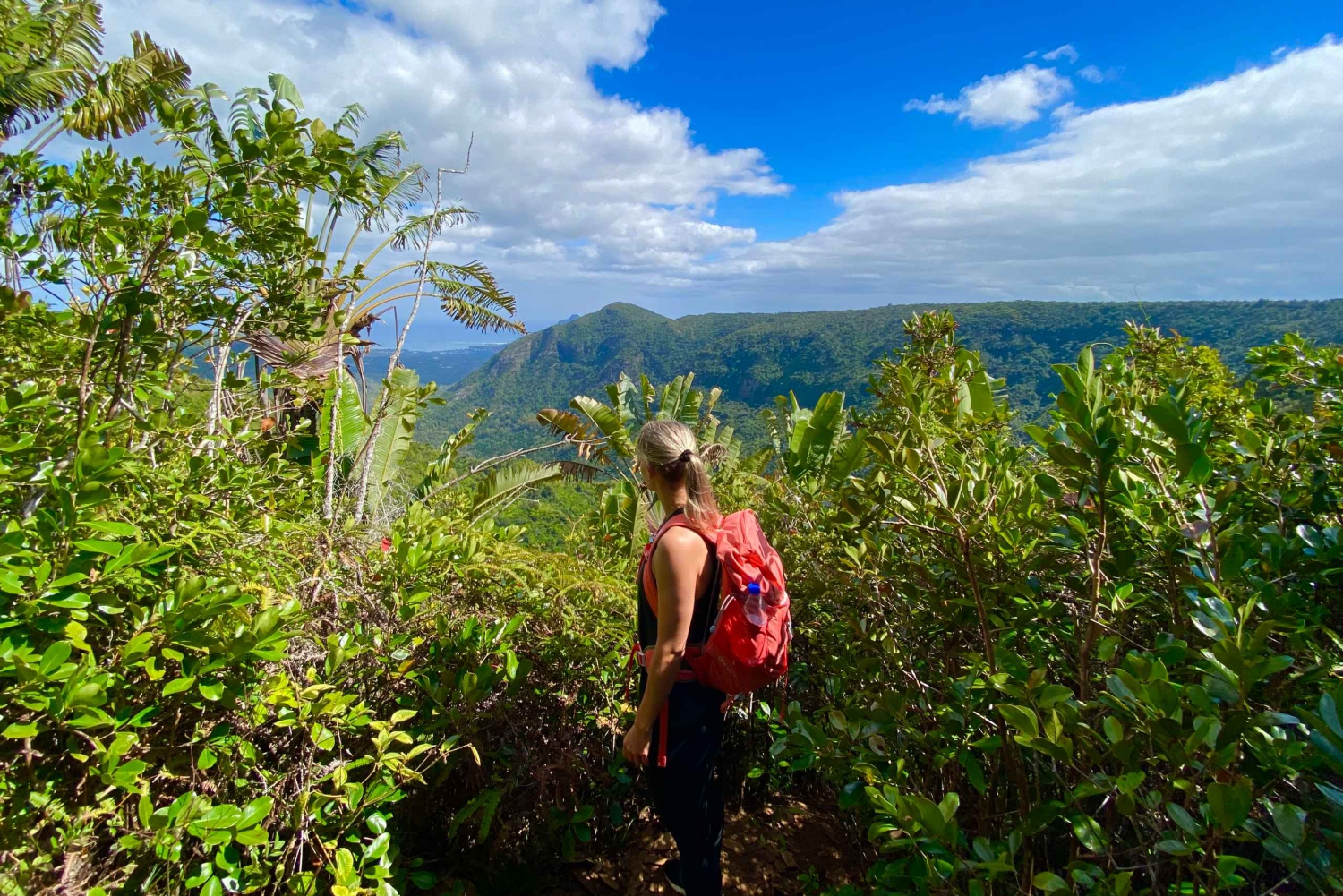 Black River Gorges National Park: Eco Adventure Day Tour in Mauritius Black River Gorges National Park: Eco Adventure Day Tour in Mauritius
