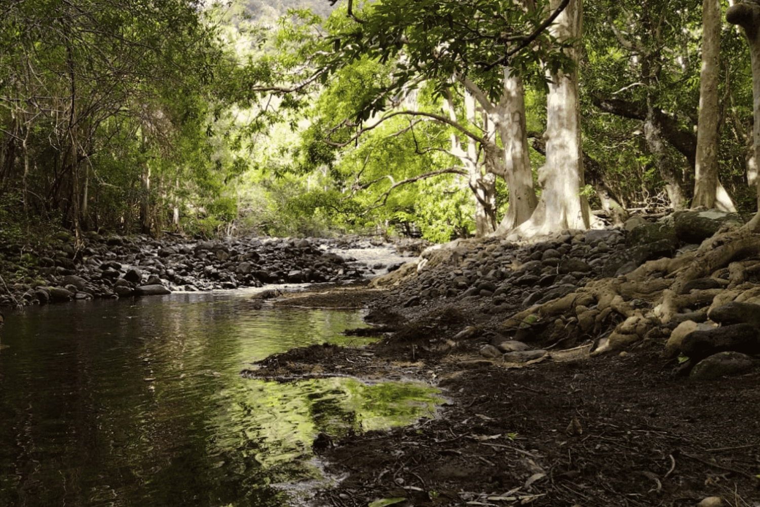 Trekking por las Gargantas del Río Negro y Aventura de Inmersión en el ...
