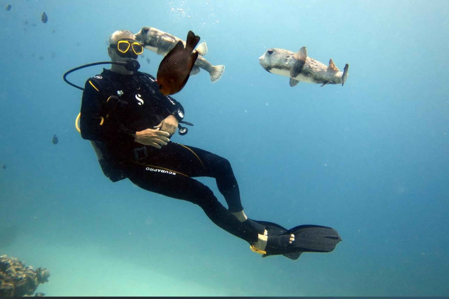 Blue World Explorer Adventures :PadiOpenWaterDiverCourse in Mauritius