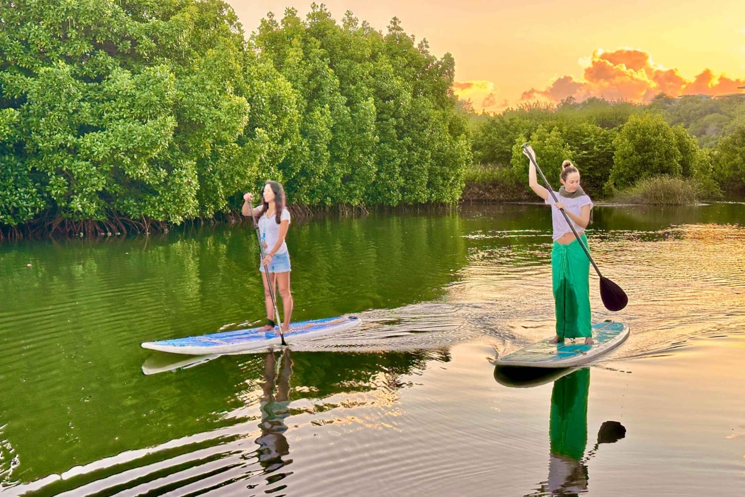 Mauritius: Guided Stand Up Paddle Tour on Tamarin River in Mauritius