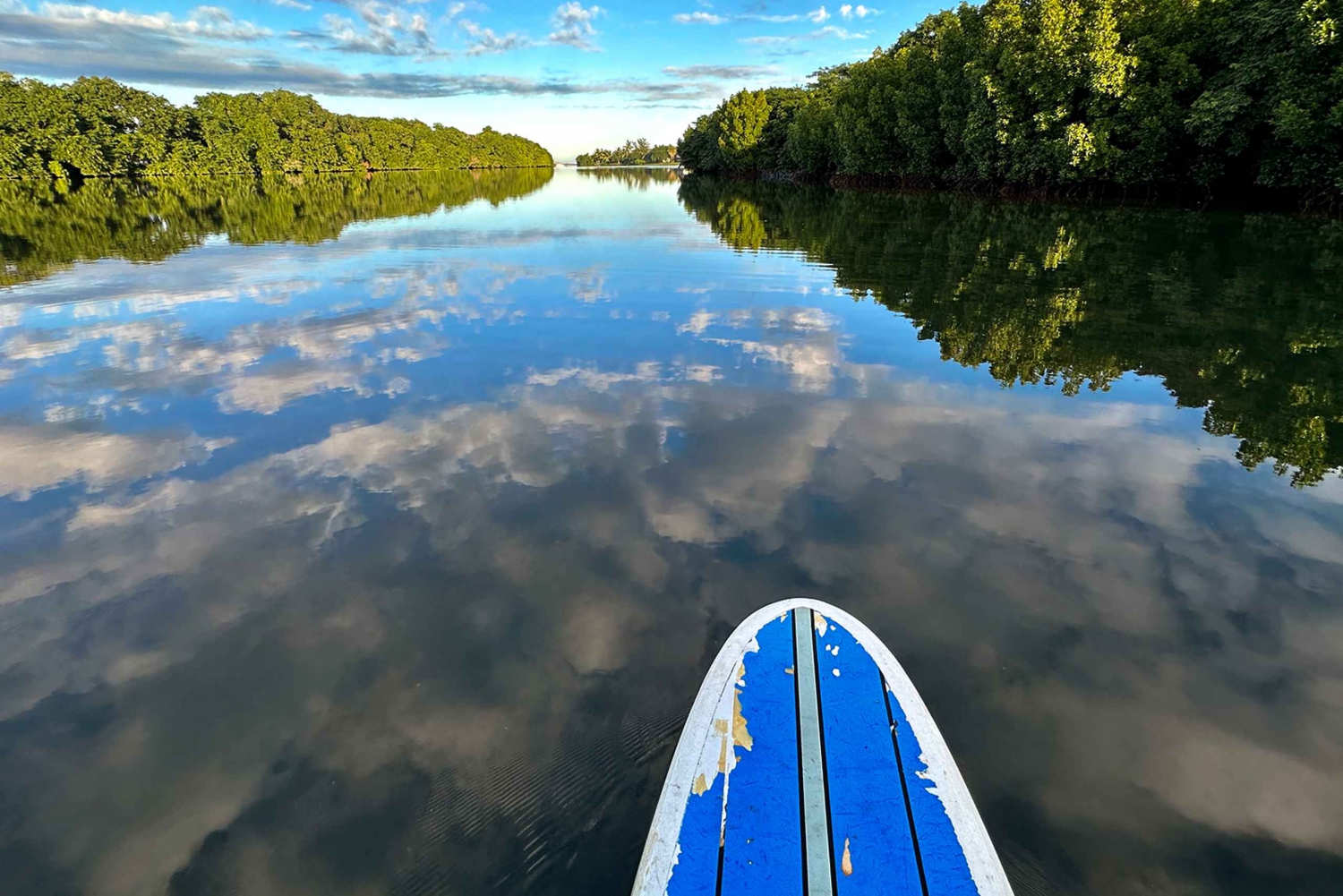 Mauritius: Guided Stand Up Paddle Tour on Tamarin River in Mauritius
