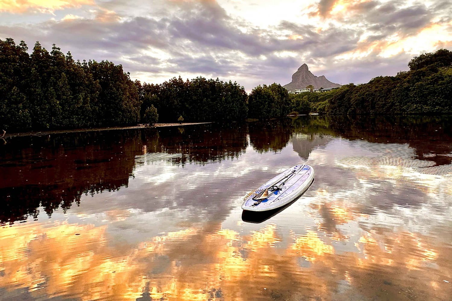 Mauritius: Guided Stand Up Paddle Tour on Tamarin River in Mauritius