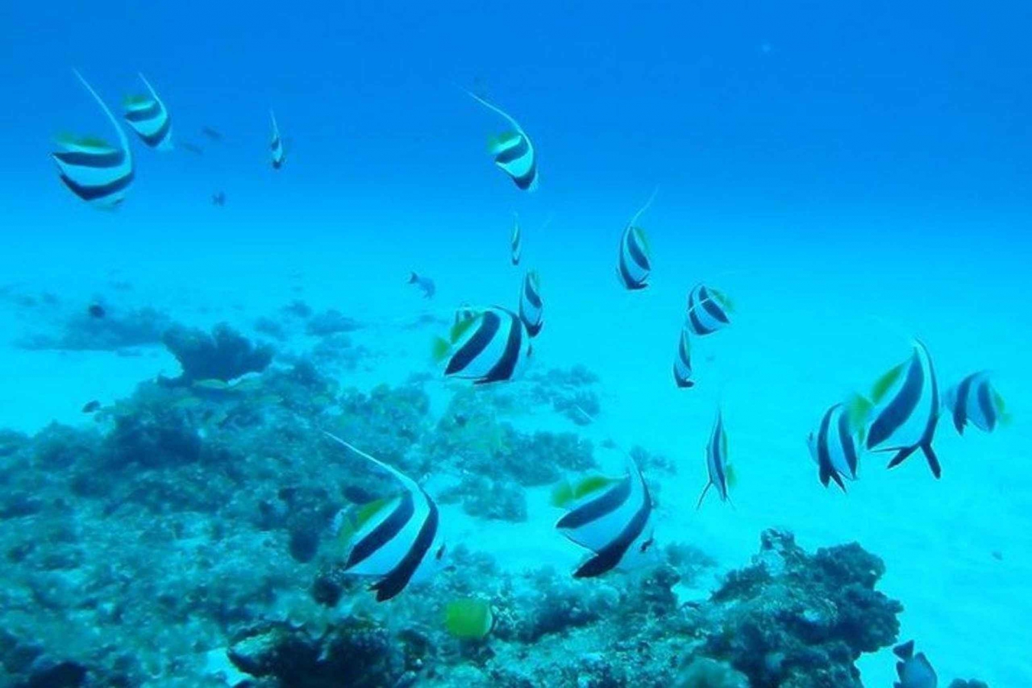 Undersea Walk & Beaches in The North With Transportation in Mauritius