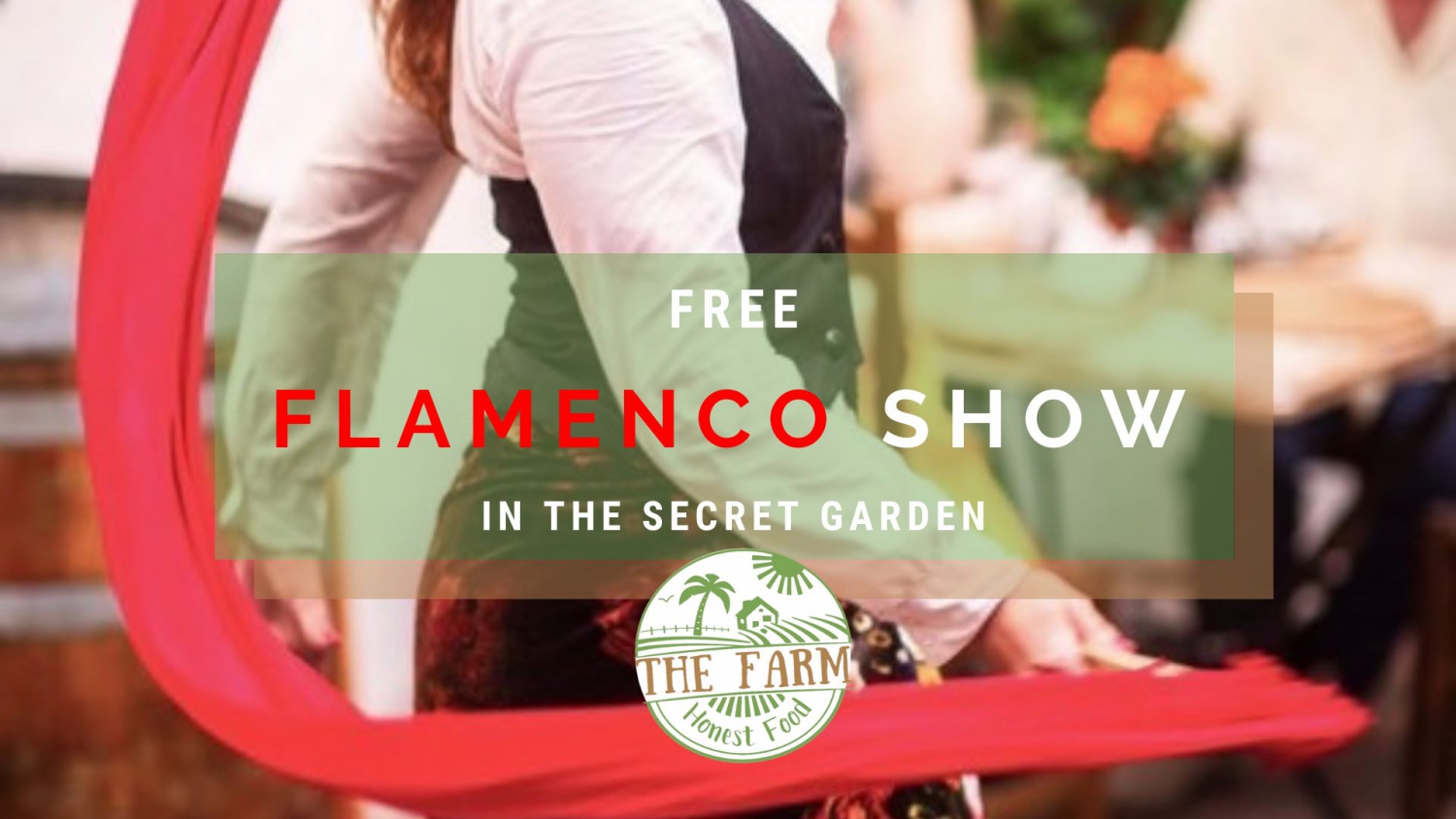 Flamenco Show & Dinner