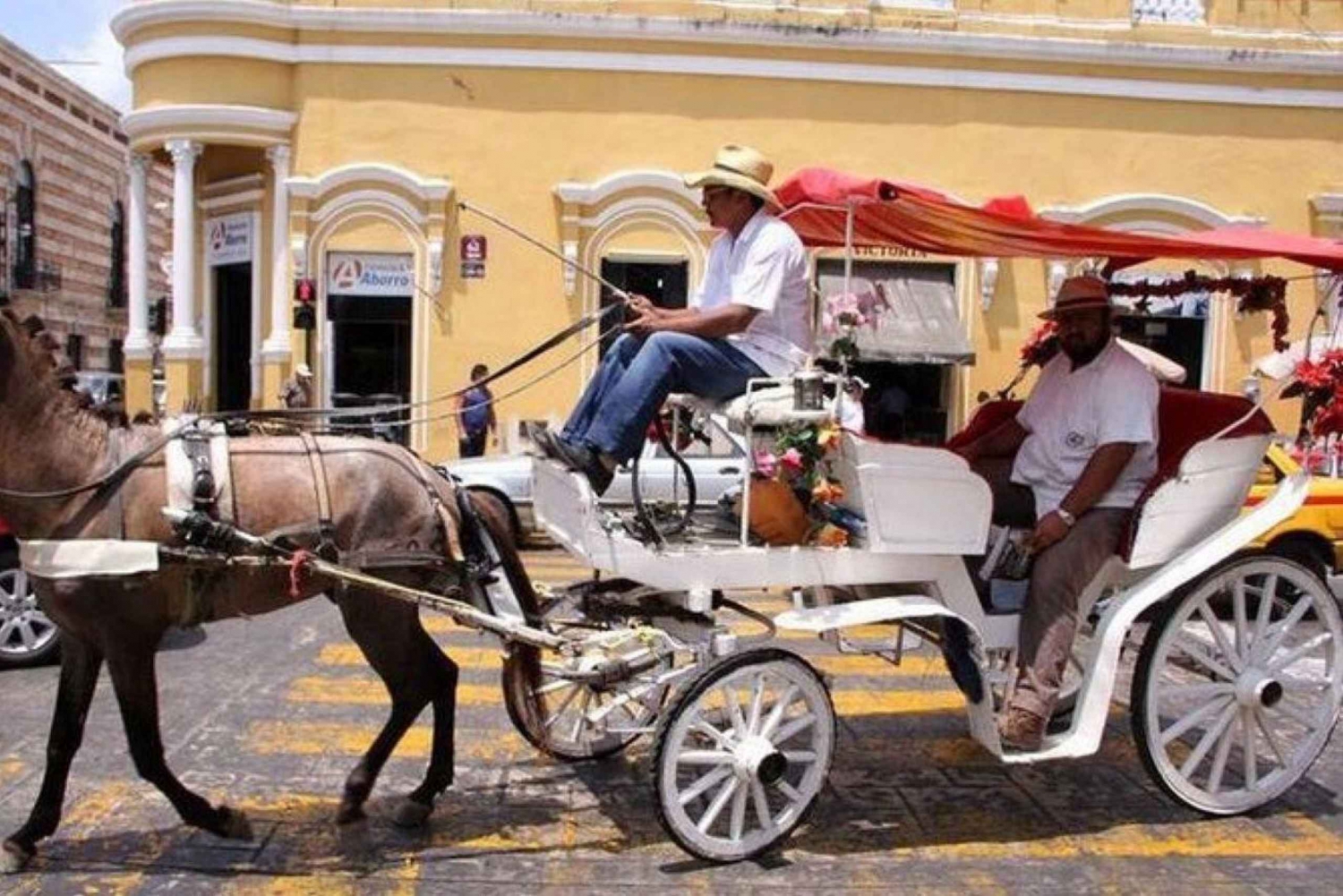 Mérida: Horse-Drawn Carriage Experience in Mexico