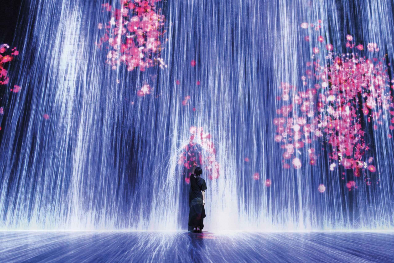 Miami: 'Superblue Miami' Immersive Art Experience Ticket in Miami