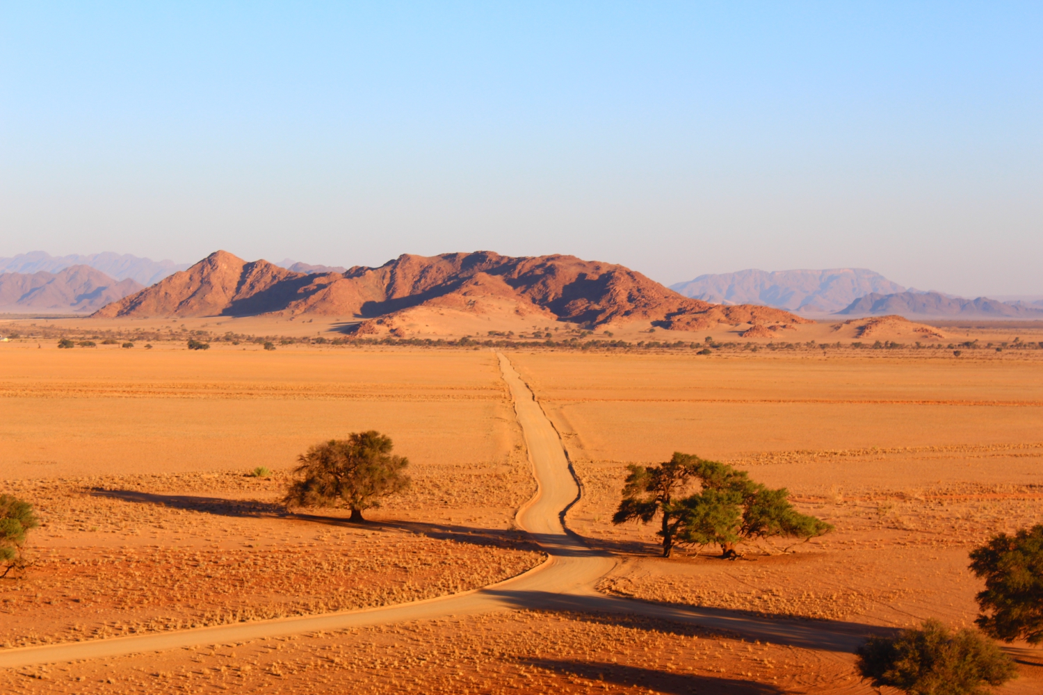 Safaris In Otjiwarongo Namibia My Guide Namibia