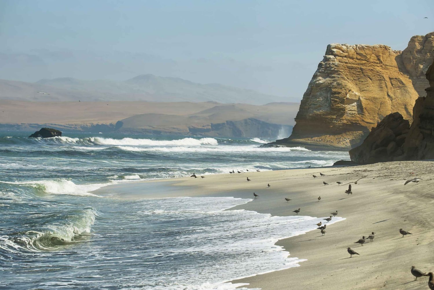 Von Lima aus: Besuche Paracas, die Ballestas-Inseln, Huacachina und den ...