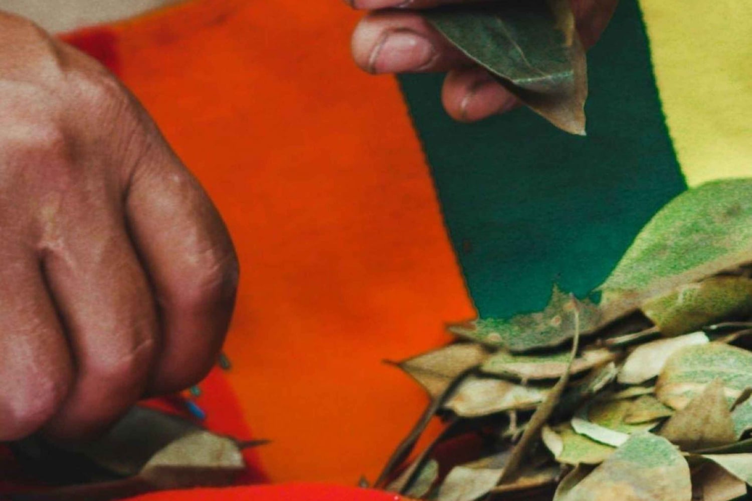 Reading coca leaves: Ancestral Inca Ceremony in Peru