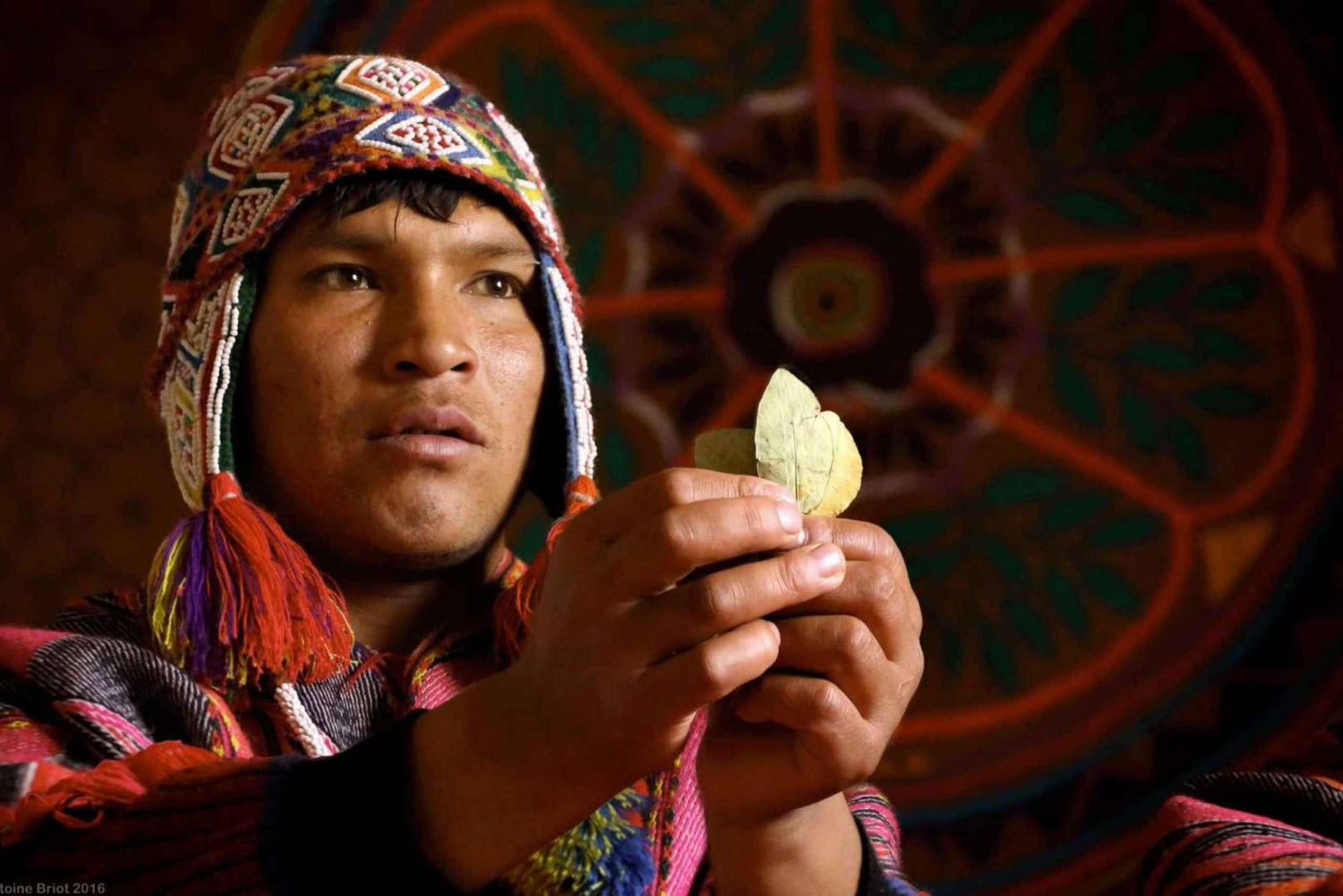 Reading coca leaves: Ancestral Inca Ceremony in Peru