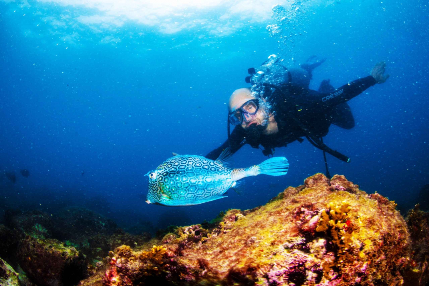 Rio de Janeiro: Arraial do Cabo Scuba Diving Day Trip in Rio de Janeiro