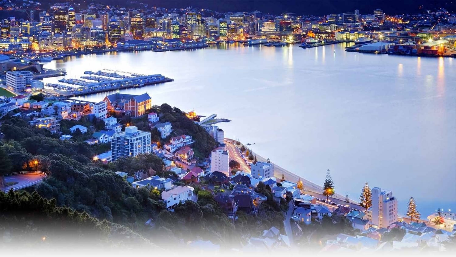 Wellington Travel Guide