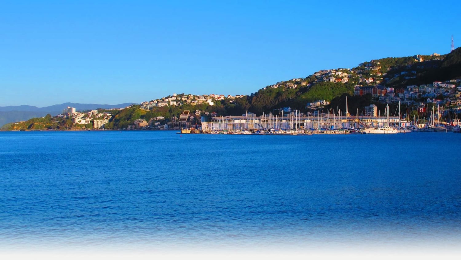 Wellington Travel Guide