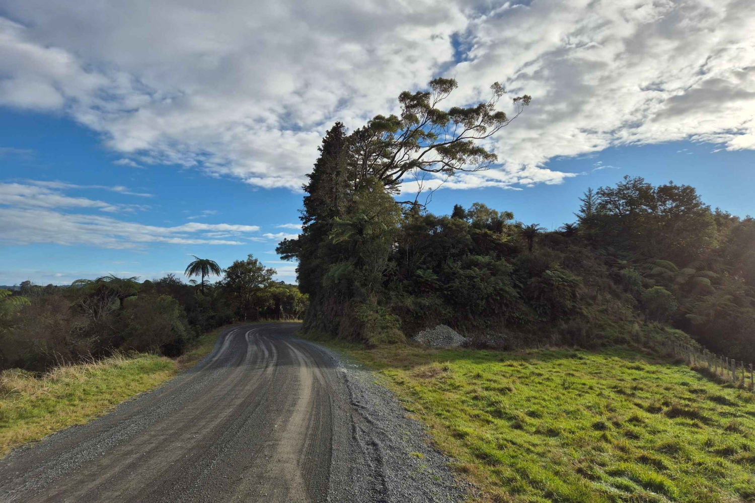 Explore Middle-Earth: Caves to Cinematic Landscapes in Wellington