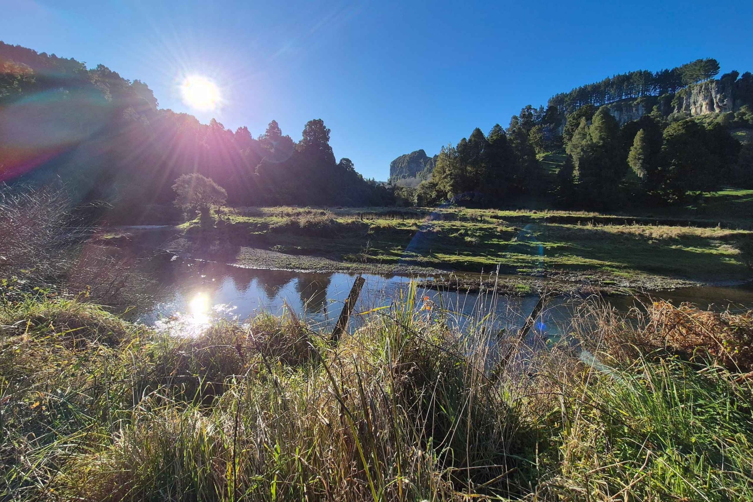 Explore Middle-Earth: Caves to Cinematic Landscapes in Wellington